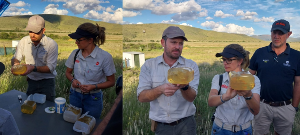 Battle of the Bullets returns to Graaff-Reinet with a bang ...